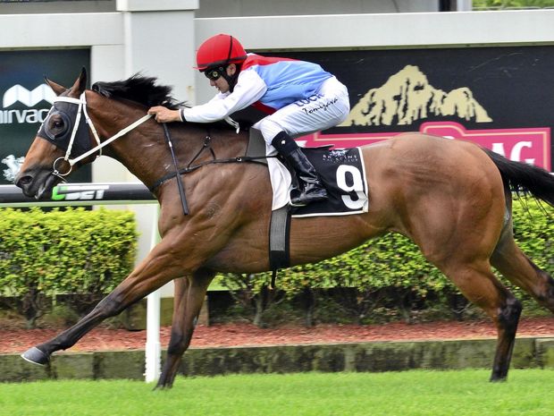 About – TJ Sears Racing