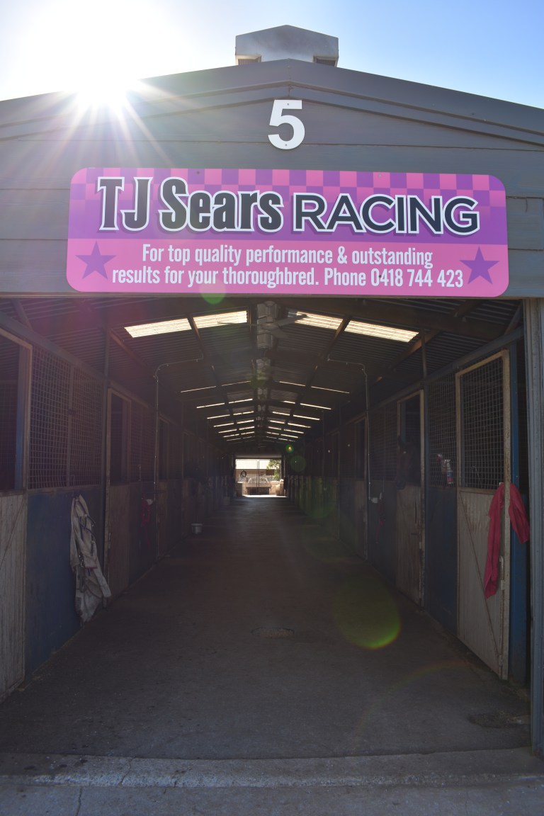 Horse Training – TJ Sears Racing