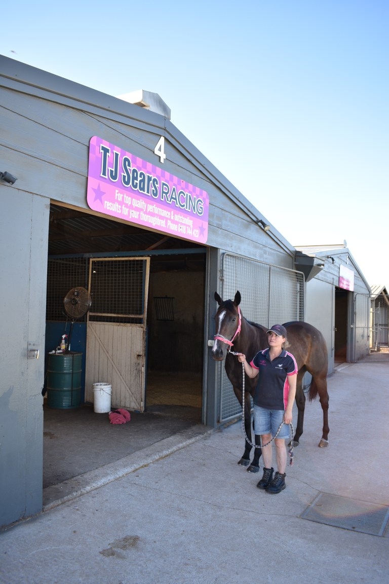 Horse Training – TJ Sears Racing