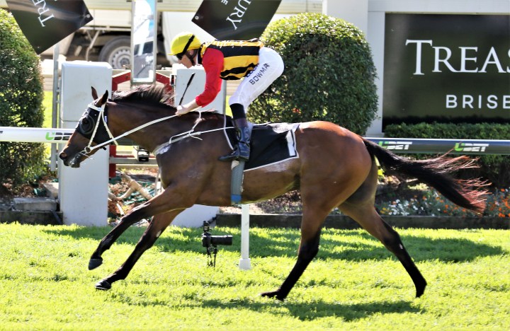 About – TJ Sears Racing